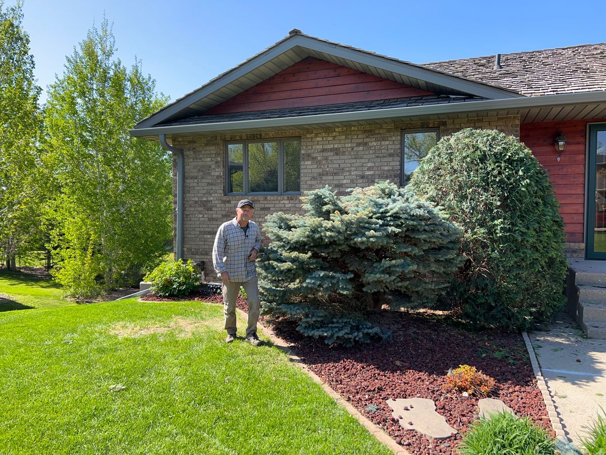 Pruning A Techny Arborvitae and Colorado Globe Spruce