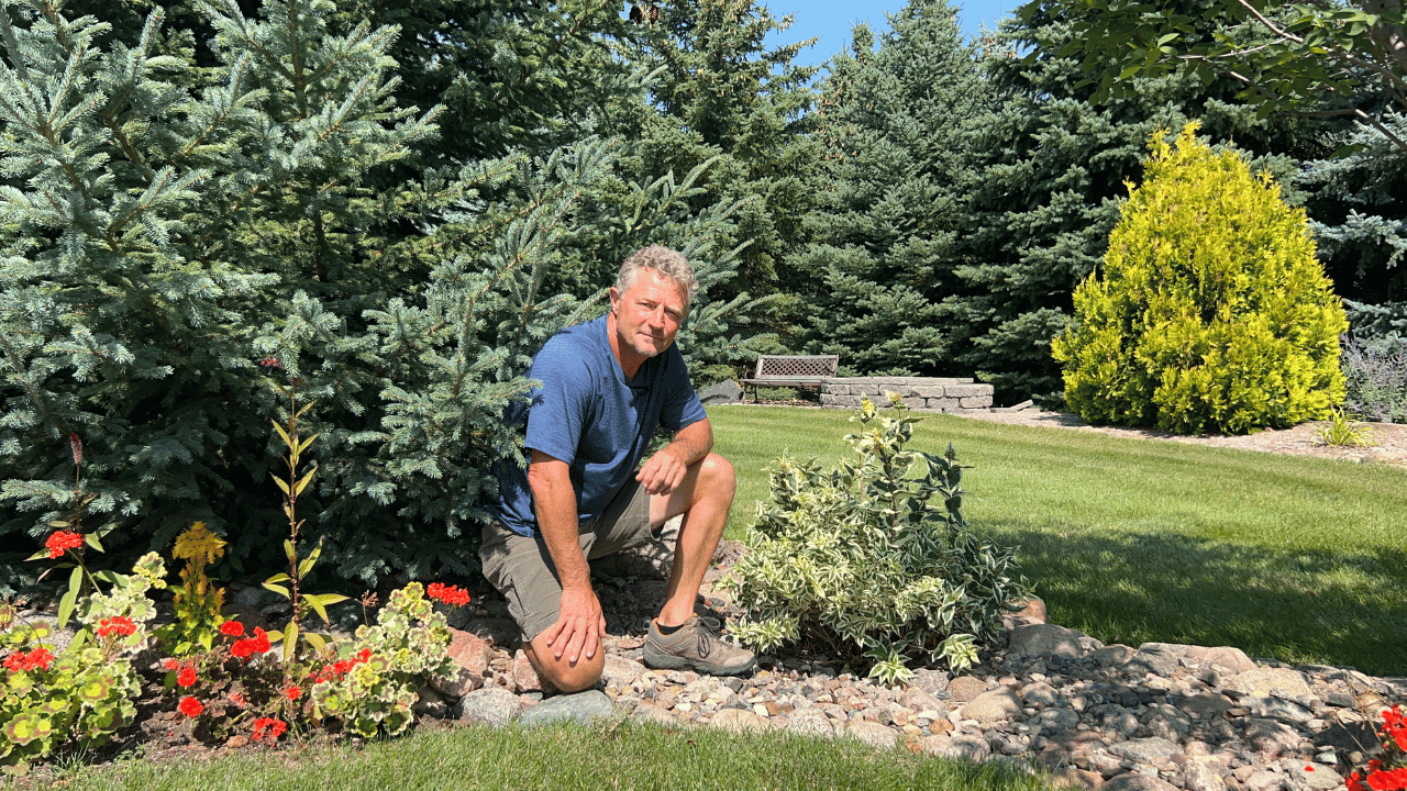 Four Great Variegated Shrubs